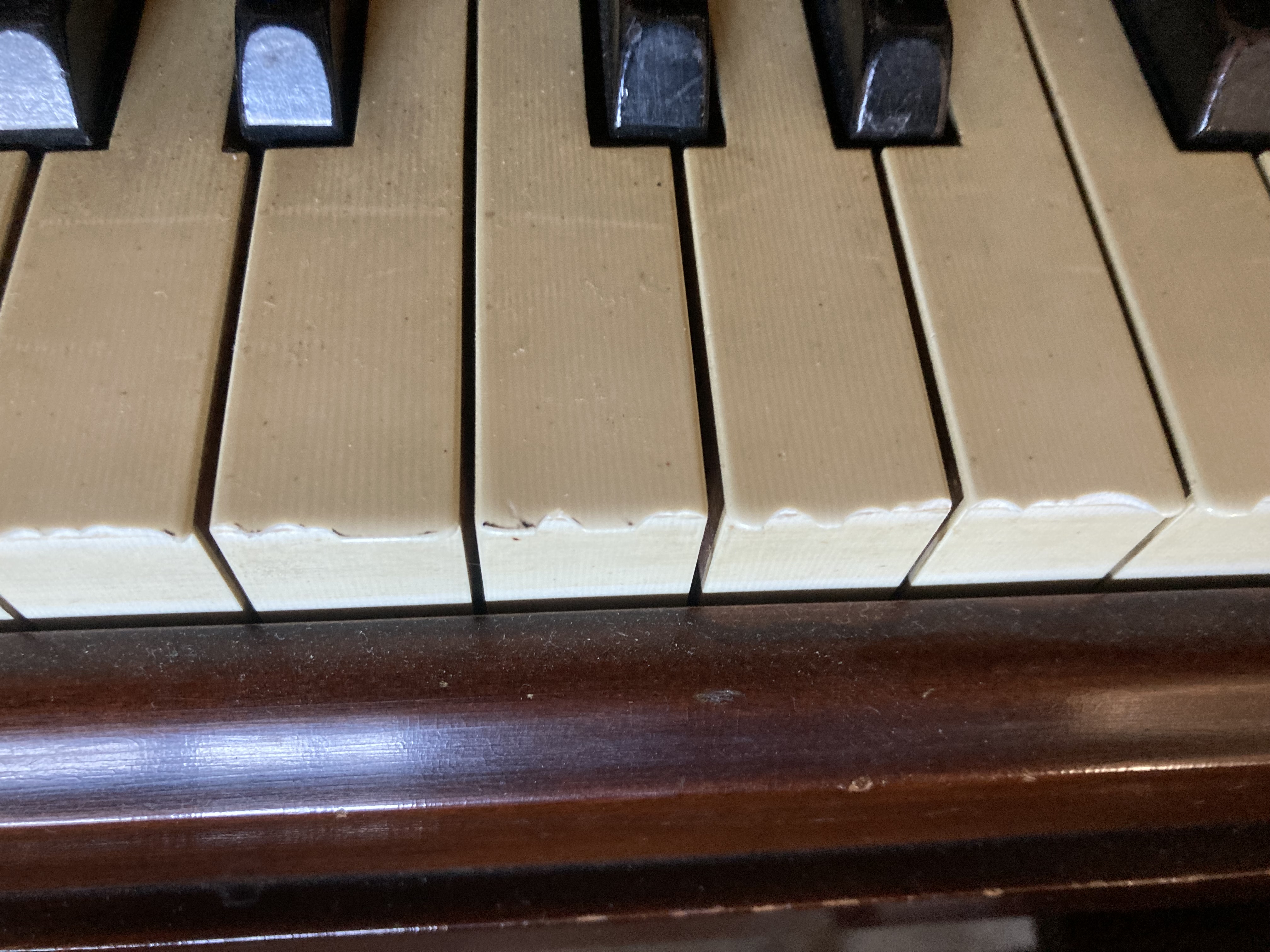 Free Piano in Fallbrook, California: Starr ,Grand Piano