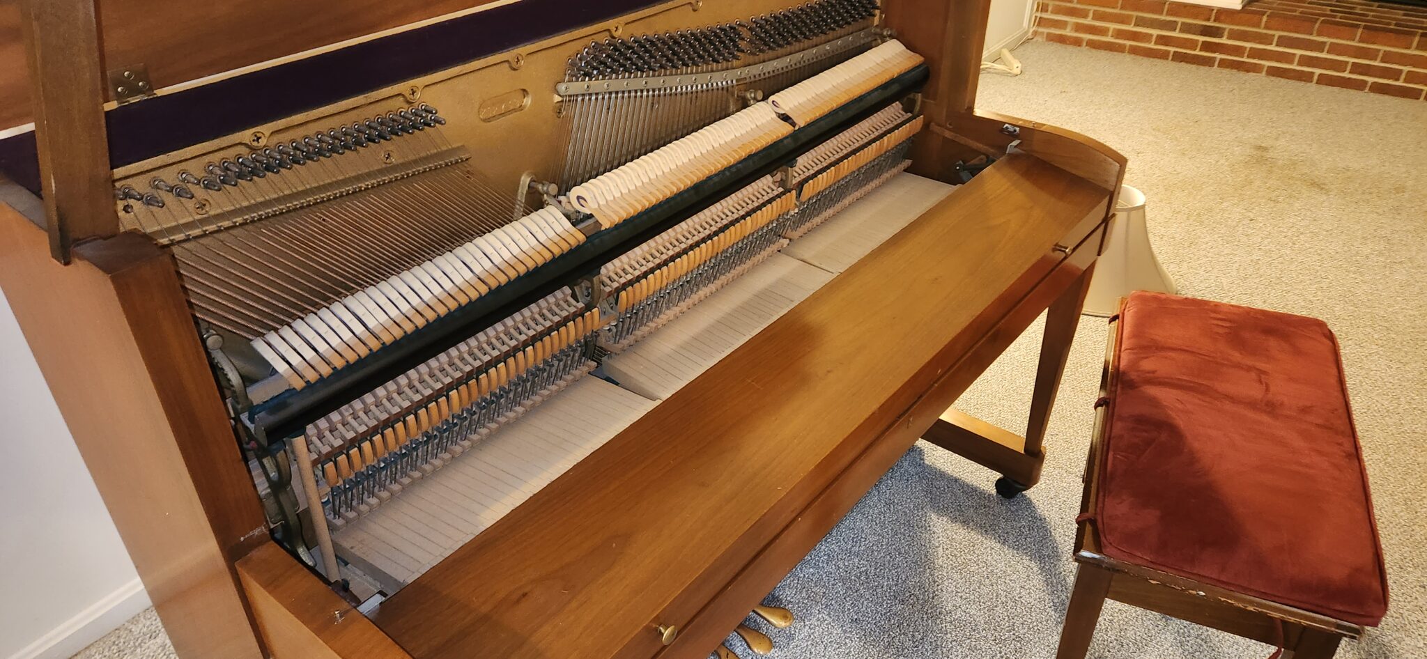 Free Pianos – Piano Adoption is the Largest Website of Free Pianos!